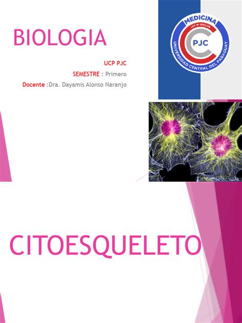 5 Citoesqueleto Pdf Microtúbulos Mitosis