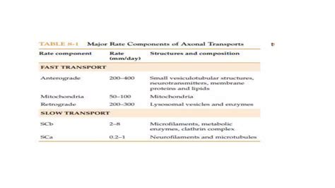 Axonal Transportpptx