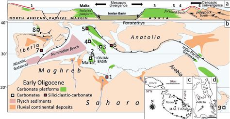 A Simplified Schematic Swne Cross Section Showing Geotectonic