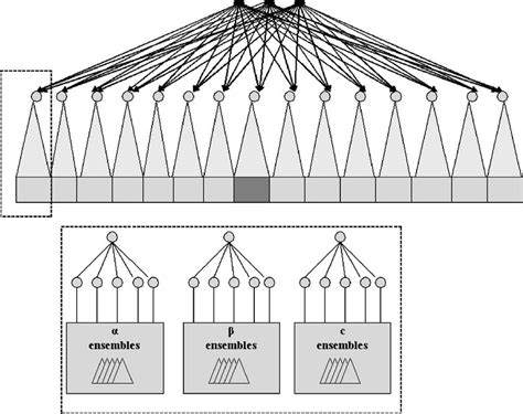 Secondary Protein Structure Prediction Using Ensemble Of Anns Download Scientific Diagram