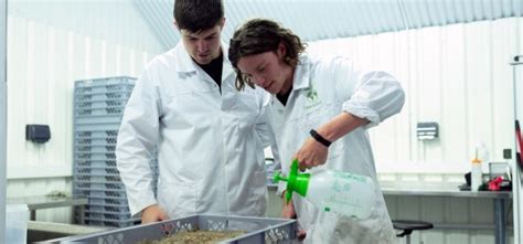 Science Trivia Questions Answers Weird Hard Interesting Mantelligence