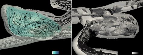 Examples Of Conventional Flow Visualizations Created Using Paraview On