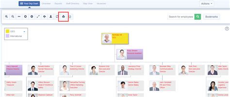 teamorgchart user guides