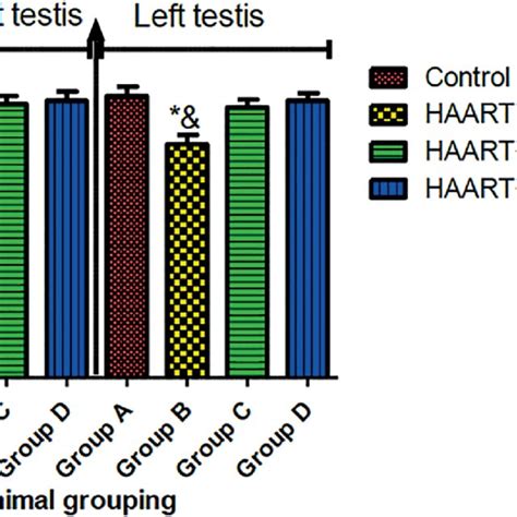 Effect Of Moe On Sperm Morphology Neck Tail And Head Defects And