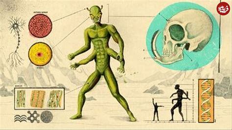 عکس چهره‌های عجیبی که یک قرن پیش از آدم فضایی‌ها کشیده‌اند