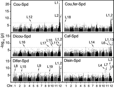 Manhattan Plot Displaying The Gwas Results Of The Content Of Six Download Scientific Diagram
