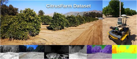 Citrusfarm Dataset