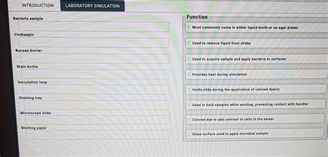Solved Introduction Laboratory Simulation Bacteria Sample