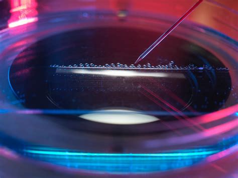 Biomanufacturing Stemcells In Microgravity