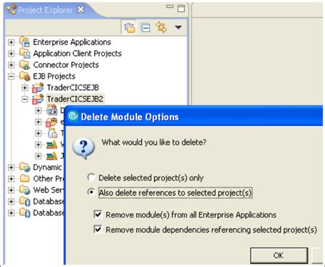 cics transaction gateway topologies websphere for z os v6