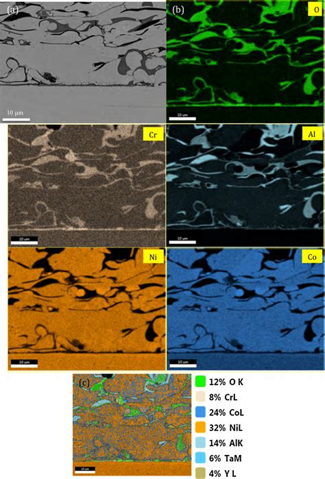 Cross Section Of The Coated A Substrate After Cyclic Oxidation At