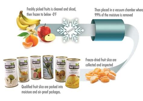 Lyophilization Vs Freeze Drying What Is Lyophilization Lab Instrument Manufacturer