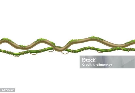 리아나 줄기 테두리 나뭇가지에 매달려 있는 열대우림 녹색 이끼 만화 정글 크리퍼 열대 자연 식물 0명에 대한 스톡 벡터 아트 및