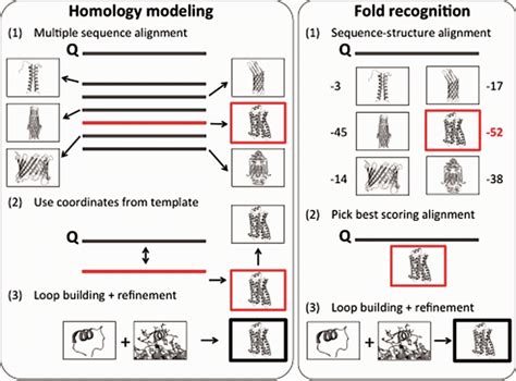 methods for predicting 3d protein structures left homology