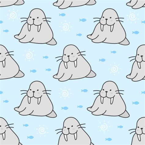 270 Funny Walrus Background Stock Illustrations Royalty Free Vector