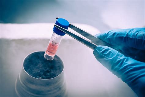 What Does The Church Teach On Cloning And DNA Manipulation