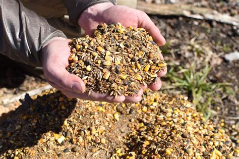 Dls Outdoors Montague Mi