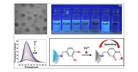 Highly Sensitive And Selective Detection Of Nanomolar Ferric Ions Using Dopamine Functionalized