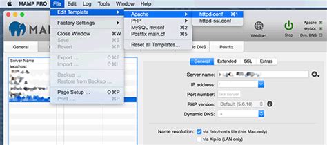 Php How To Set Environment Variable In Mamp Stack Overflow