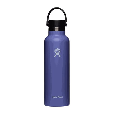 Hydro Flask 21 Oz Standard Flex Cap Lupine Drikkeflaske I Rustfritt