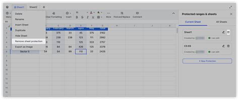 Configure The Protected Range In Sheets