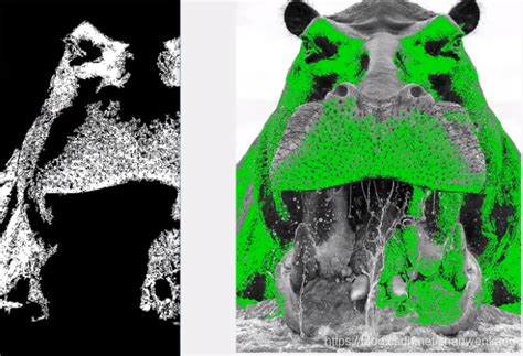 数字图像处理笔记——图像分割（image Segmentation）影像组学的图像分割函数 Csdn博客