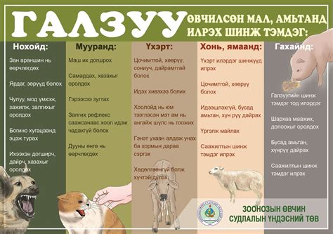 ЗӨВЛӨГӨӨ Галзуу өвчтэй амьтанд хазуулахаас сэргийлээрэй