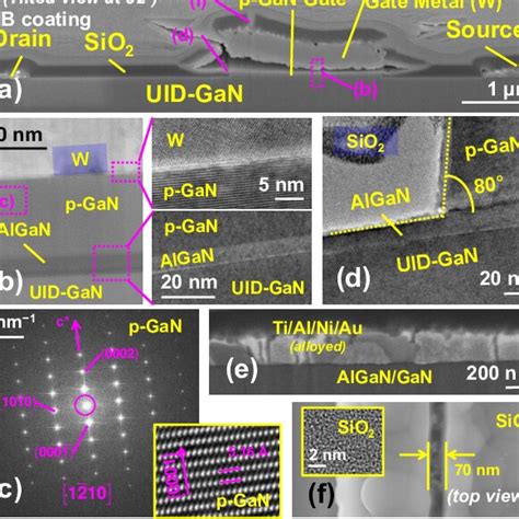 Advanced Microscopy Investigation Of The Device After Test A Fib Download Scientific Diagram