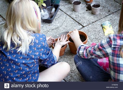 Seeds Pots High Resolution Stock Photography And Images Alamy