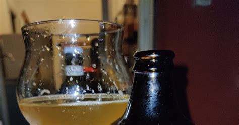 Joogipäevik Raffo Lavorasione Grezza