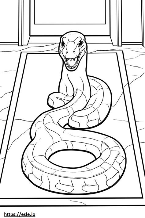 Carpet Python Cute Coloring Page
