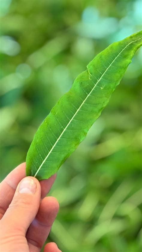 PlŪkt PlŪkt Added A New Photo PlŪkt PlŪkt Added A New Photo