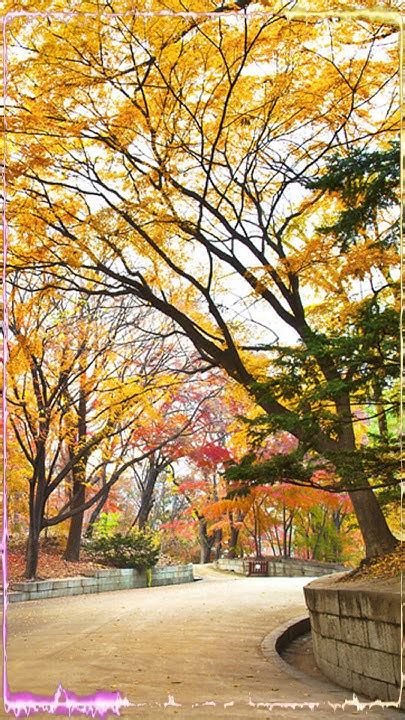 사랑은 추운 저녁 코코아 한 잔처럼 따뜻해서 마음속 얼음 조각을 모두 녹이는 것입니다 Youtube