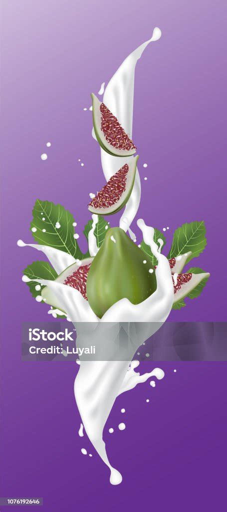 현실적인 그림 3d 과일과 우유 흐름입니다 슬라이스는 요구르트에 떨어지는입니다 무화과 우유 스플래시입니다 광고 홍보 포장 라벨에 대 한 템플릿 0명에 대한 스톡 벡터 아트