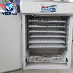 Ostrich Egg Incubators Efficient Hatching Solutions