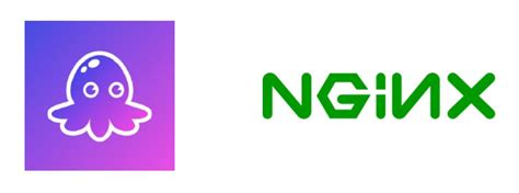 Nathan S On Linkedin Chainguards Nginx Container Image Towards More