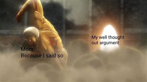 Can Be Really Annoying R Animemes