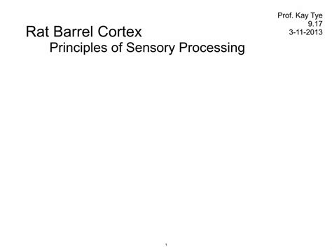 PDF Lecture Rat Barrel Cortex Principles Of Sensory Rat Barrel Cortex