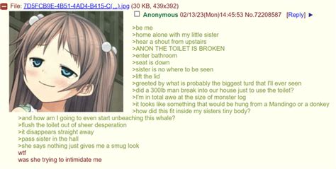Anons Sister Uses The Toilet R Greentext