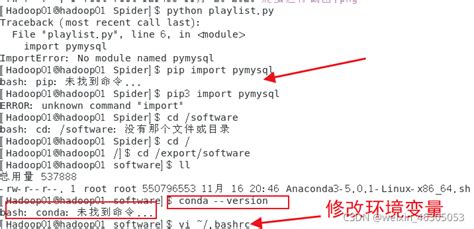 Linux下安装anaconda3安装anaconda Bad Interpreter Text File Busy Csdn博客