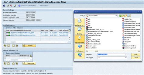 Sap Basis Transaction Code Slicense