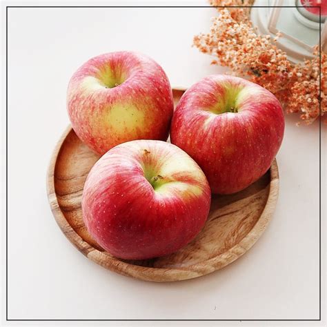 가계부 4인가족 생활비 24년 5월 생활비 줄이기 위한 한달생활비 중간점검 시간 네이버 블로그