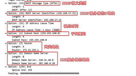 Wireshark抓包分析理解dhcp协议及工作流程 Mingkai2004 博客园