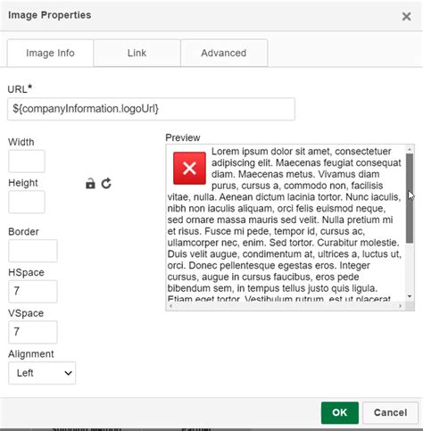 Netsuite Advanced Pdf Intro To Wysiwyg Mode Anchor Group
