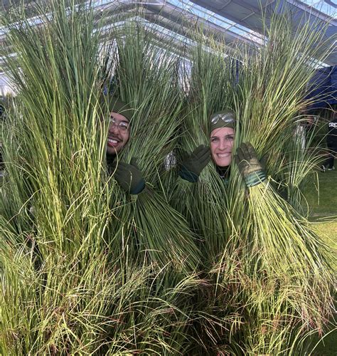 Bad Bunny Headlined — But The Grass Stole The Halftime Show