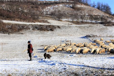 PRO VERB Ce ție nu îți place altuia nu i face Bistriteanul Afla primul
