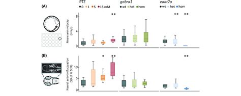 Spontaneous Locomotor And Neural Activity Display A Hypoactive Or
