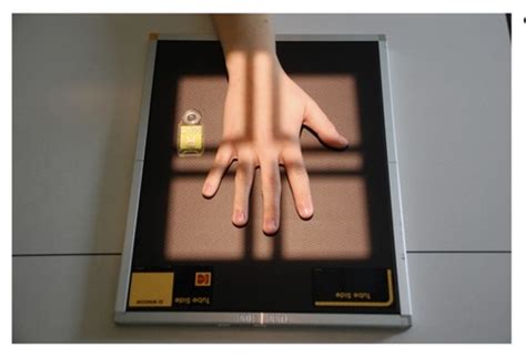 FINAL LAB Flashcards Quizlet