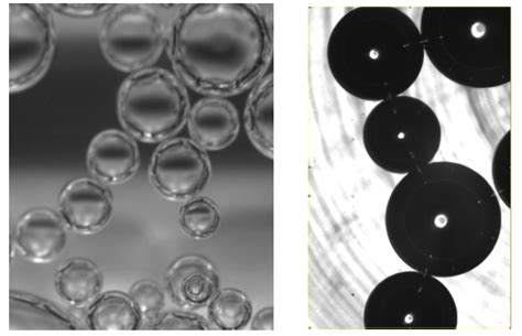 A Bubble Clusters Surrounded By Foaming Liquid Spontaneously Formed Download Scientific