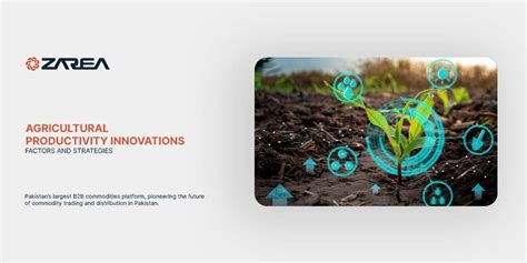 agricultural productivity innovations factors and strategies zarea